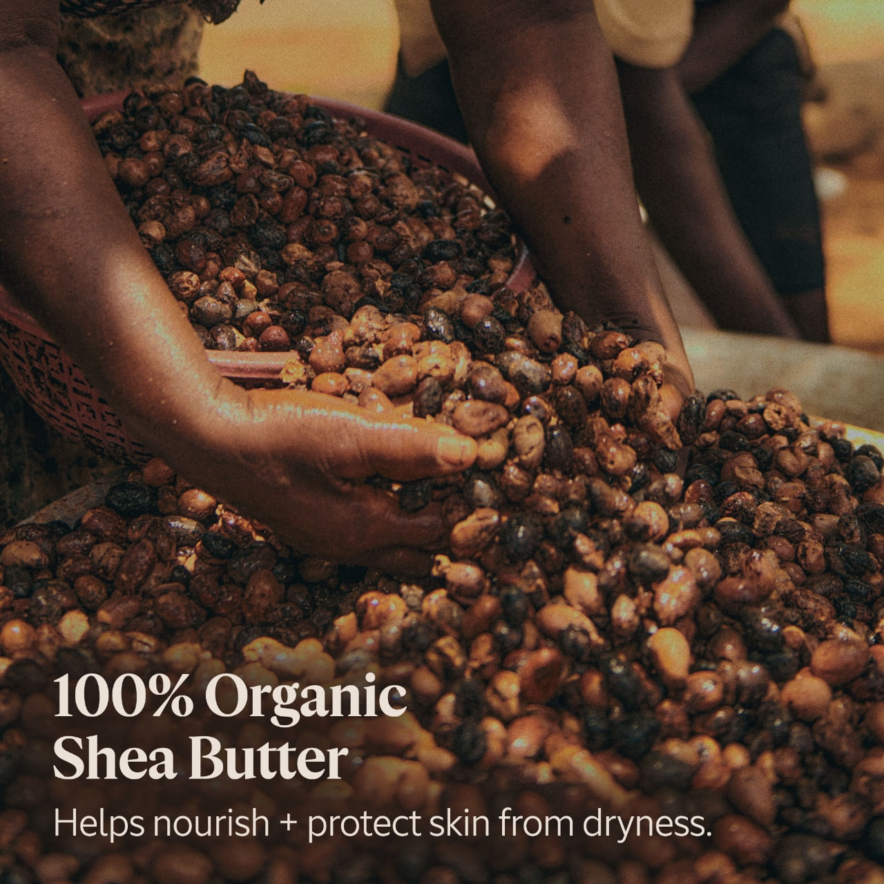 Complete Body Ritual | SHOP BAZAAR