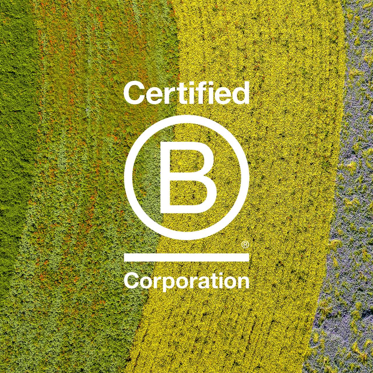 Melu Anti-breakage Hair Shield For Long Hair | SHOP BAZAAR