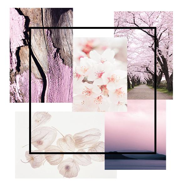 The Takesumi Detox - Sakura Blossom | SHOP BAZAAR