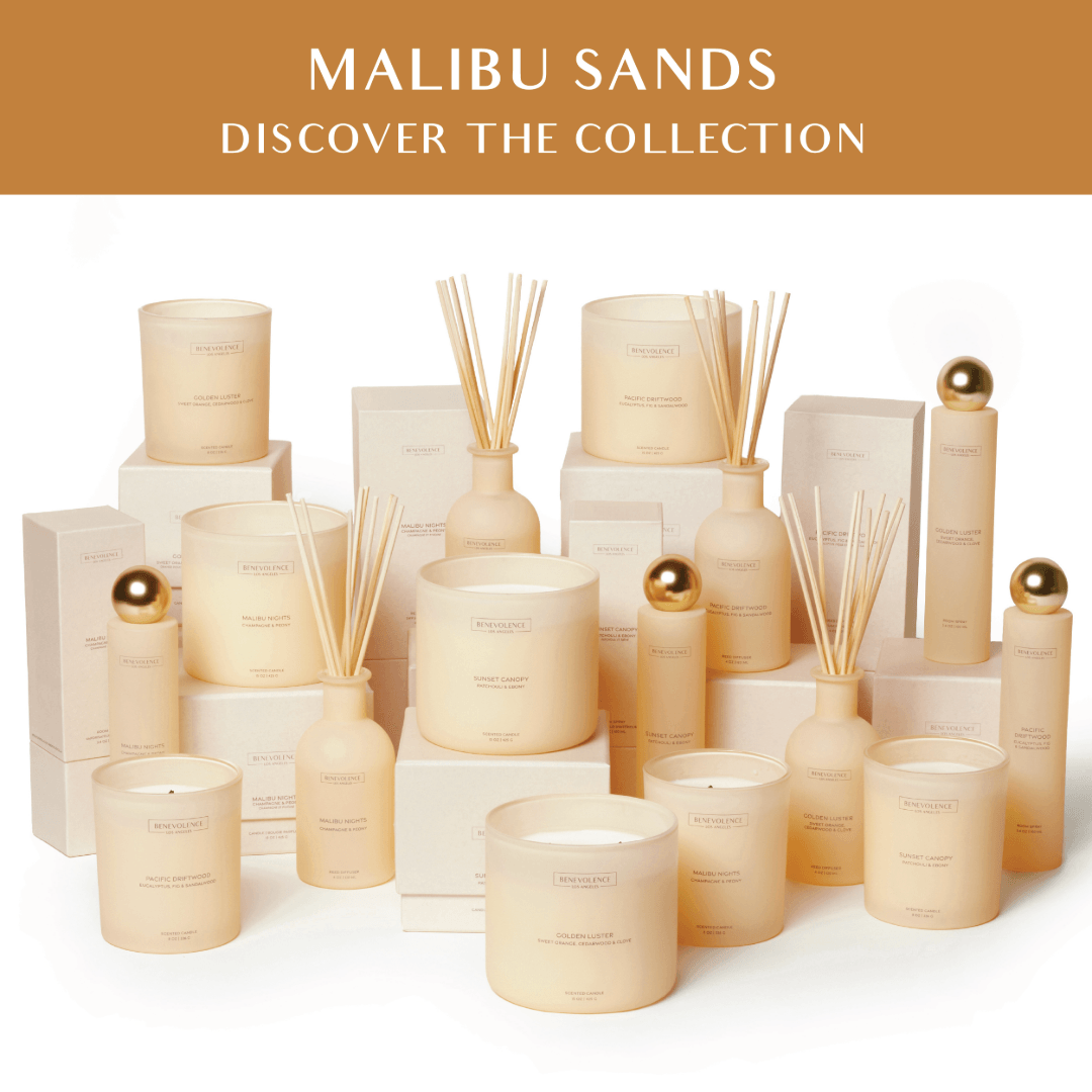 Malibu Sands - Sunset Canopy Reed Diffuser | SHOP BAZAAR
