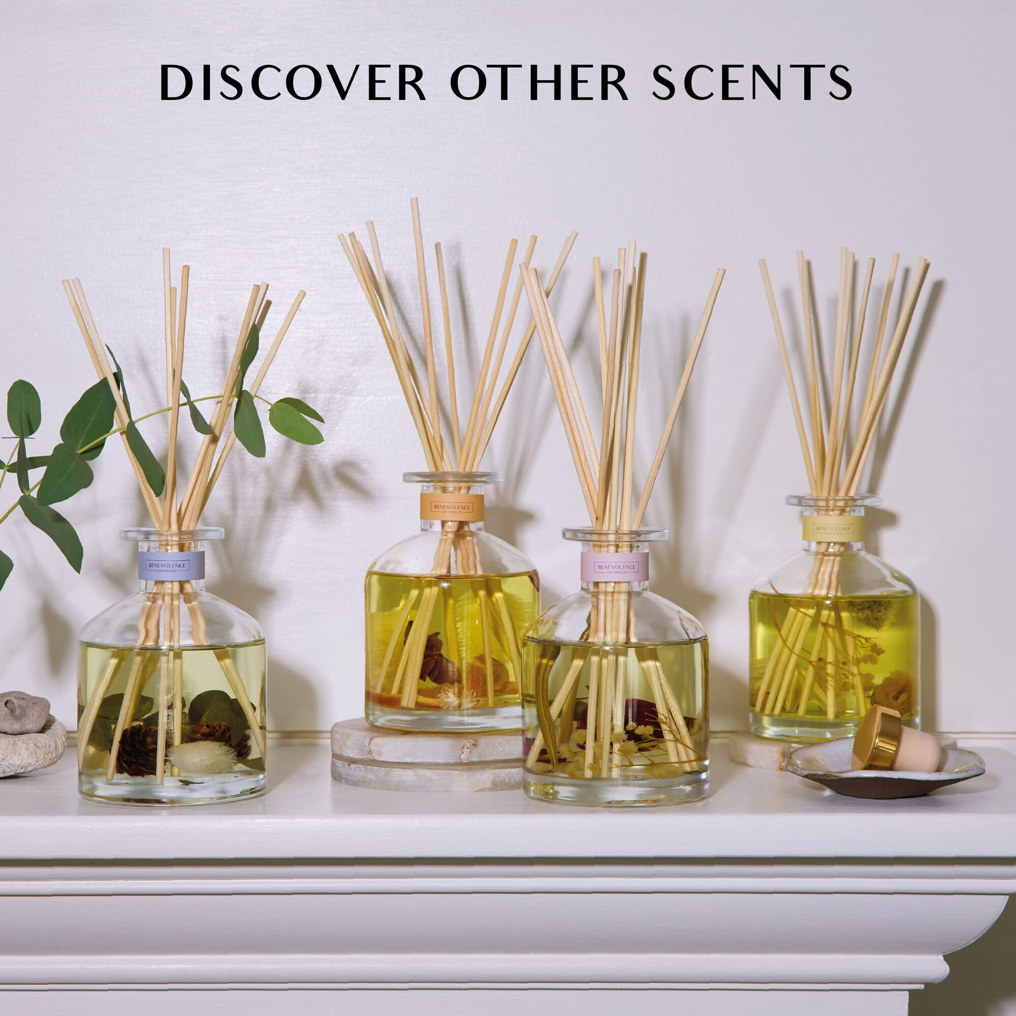 Sun Kissed - Golden Luster Reed Diffuser | SHOP BAZAAR